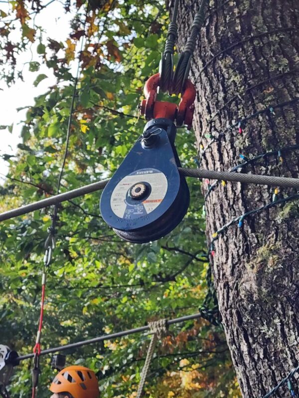 Crosby McKissick Snatch Block with Shackle Fitting, Single Sheave, 15 ...
